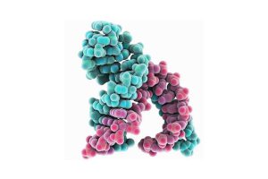 What is Enzymatic Extraction Technology and Process - BIT Process